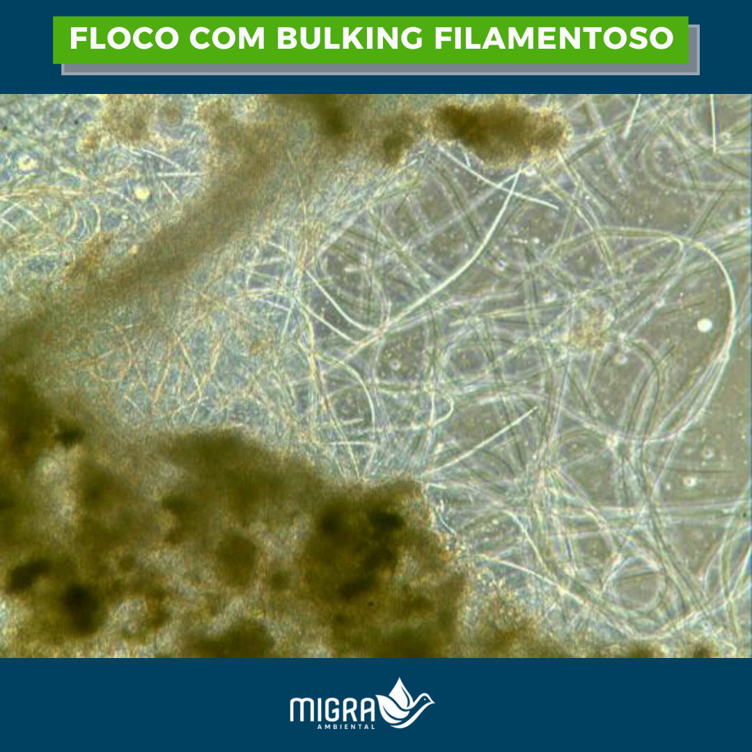 Como funciona o sistema de LODO ATIVADO - Migra Ambiental